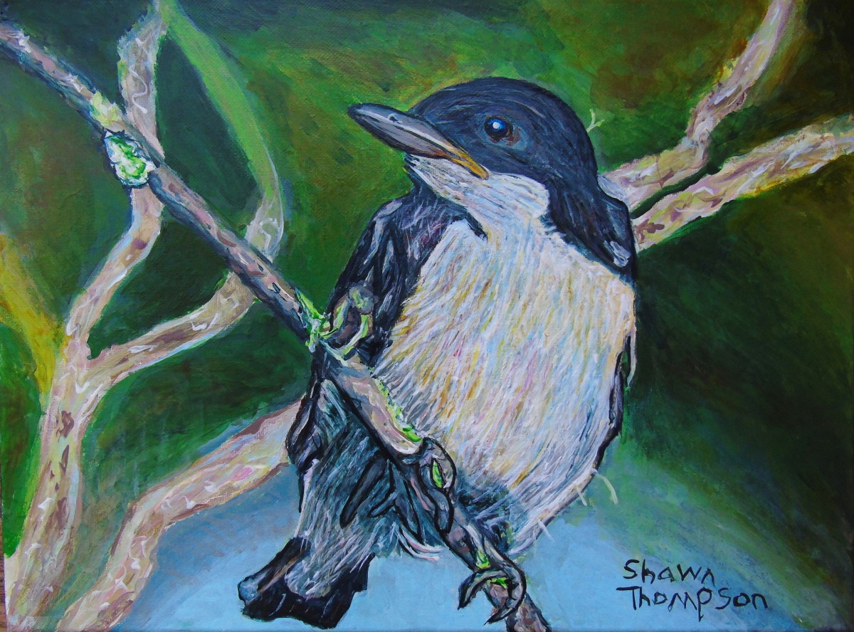 Tree Swallow Painting Process. – Shawn Thompson Art Blog